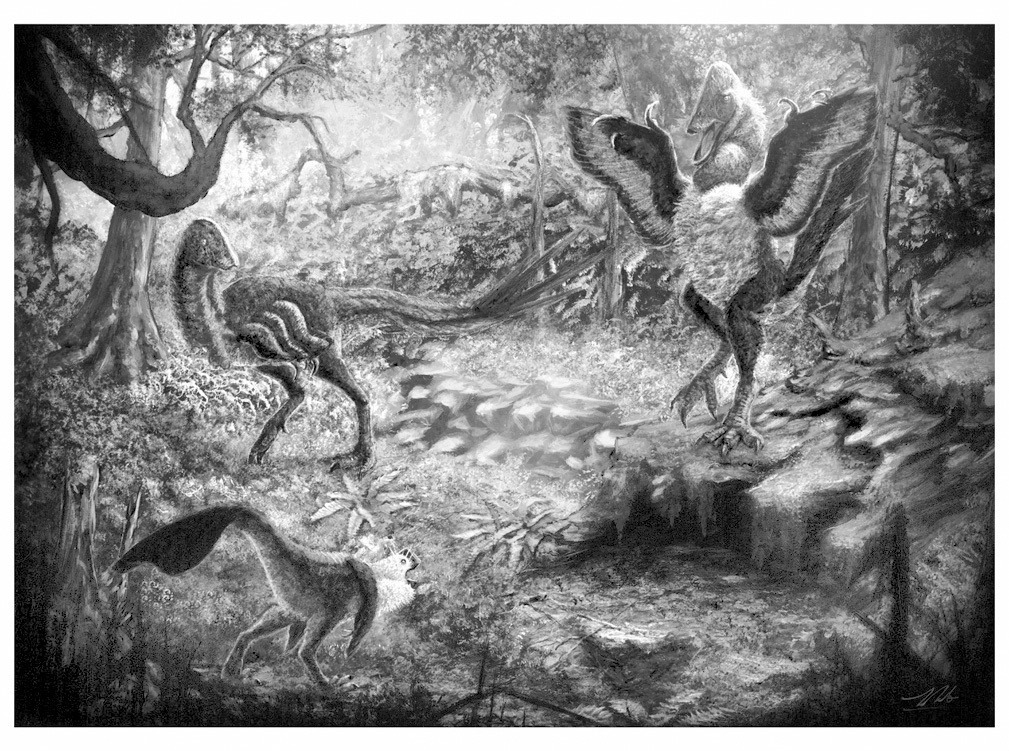 OSU-CHS Student Discovers New Dinosaur Species